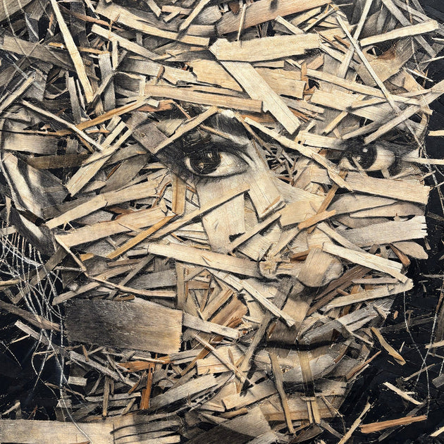 Gonzalo Pizarro – Artist Replete