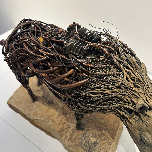 Evolution – Artist Replete